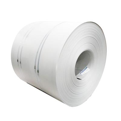 China 316L 304 310s Hot Rolled Stainless Steel Coil Construction Tableware Pipeline Decoration for sale