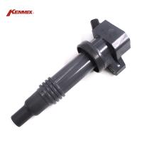 China OEM STANDARD Ignition Coil for Toyota Altezza 3SGE 2.0L 90919-02236 Year 1997-2005 for sale