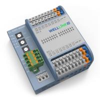 China Decowell Fs Series Integrated Cc-Link Agreement I/O Module for Customized Application for sale