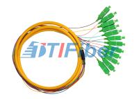 China Bundle Fiber Optic Pigtail for CATV Network with Multimode SC Connectors for sale