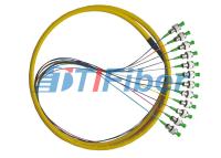 China Ribbon Single Mode Fiber Pigtails With FC Fiber Optic Connector for sale