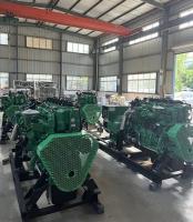 China Industrial Backup Emergency 250KW 300KVA Natural Gas Powered  Electric Generator Set for sale