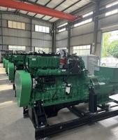China Industrial Backup Emergency 250KW 300KVA Natural Gas Powered  Electric Generator Set for sale