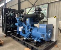 China 50hz 60hz Soundproof Container Open Type Continuous 200KW 250KVA LPG Powered  Electric Generator for sale