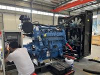 China 50hz 60hz Soundproof Container Open Type Continuous 200KW 250KVA LPG Powered  Electric Generator for sale