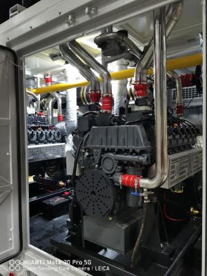 China 250KW 300KVA 500KW 625KVA 600KVA 1MW 1000KW Deutz Natural Gas LNG CNG Generator Set for Outdoor RainProof Container for sale