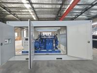 China 50hz 60hz 400KW Yuchai Engine Rainproof Containerized Outdoor Silent Biomass Natural Gas Generator Set for sale