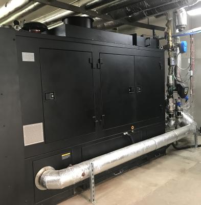 China Natural Gas CHP Generator Set CE Certification 200KW 250KVA 50Hz for sale