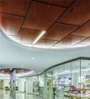 China Suspended Acoustic Ceiling Panels Sound Absorbing Ceiling Systems 12mm Thickness for sale