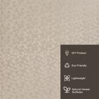 China Customized 3D Decorative Wall Panels , Office Decor Art 3D MDF Panel for sale