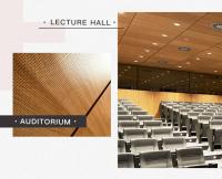 China Micro Perforated Sound Absorption Acoustic Panels For Medium To Low Frequencies for sale
