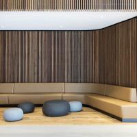 China Nobel Walnut Wood Slat Acoustic Wall Panels 600x2400 600x3000mm Slatted Wood Panels for sale
