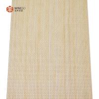 China Micro-perforated Acoustic Panel High Performance With Stylish Finishes for sale