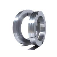 China Sturdy Multiscene Spring Metal Strips , Alkali Resistant Flat Steel Strip for sale