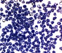 China Synthetic Diamond Nano Powder - Detonation Method Wear Resistant Material for Industrial Applications with Various Micron Sizes for sale