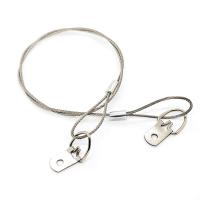 China Safety Cable D-Ring Screw Hanger Wire System Stainless Steel Picture Hanging Wire for sale