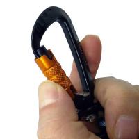 China Metal Spring Coil Safety Tool Lanyard High Durability Carabiner Easy Installation Anti Fall Rope for Industrial Outdoor Working for sale