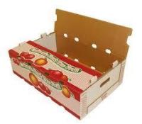 China Roll to Roll Flexographic Printing Machine with 100mm Web Roller Diameter and 4 Colors for sale