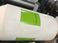 China Max. Die-Cutting Width 900mm FM-B1220 Flexo Printing Machine for Paper Cups and Boxes for sale