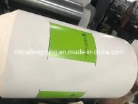 China Experience the Versatility of Multi-Color Flexo Press for Your Business for sale
