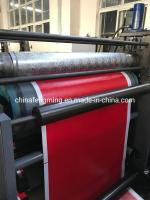 China CE Certified Fmm-B920 Flexo Printing and Embossing Machine for Professional Printing for sale