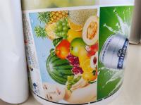 China Hot Selling 4 Color High Speed Flexo Printing Machine Roll To Roll Flexographic Printing Machine Flexographic Printer for sale