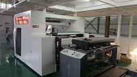 China Wenzhou Fengming Machinery Co. Ltd. Medical Package Frame Coating Flexo Printer for sale