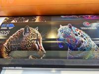 China Paper Bag and Box Sleeve Type Flexo Printing Machine with Max. Printing Width of 630mm for sale