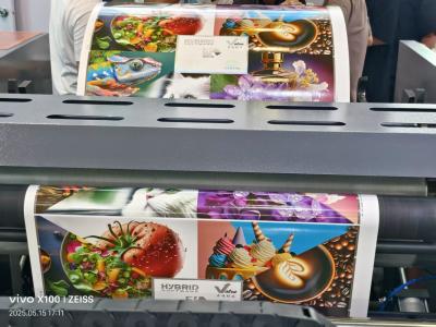 China Automatic High Speed 6 Color Uv Flexo Printing Machine Petal Unit Type Flexographic Printing Machine for sale
