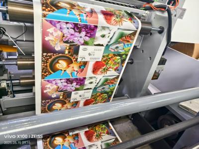 China High Speed 8 Colors Flexographic Printers Flexo Graphic Printing Machine 8 Color Price for sale