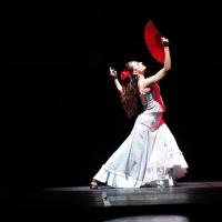 China Personalized Plastic Fan Dance Hand Fan Large 33 Cm Folding Fans for Flamenco Dance for sale