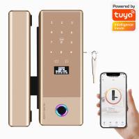 China CE Sliding Glass Door Smart Lock Bluetooth Simple Installation for sale
