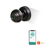 China Compatible Door Knob Smart Lock OEM Tuya Electronic Door Locks for sale