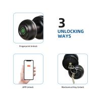 China Compatible Door Knob Smart Lock OEM Tuya Electronic Door Locks for sale