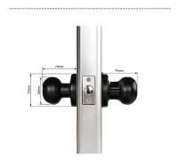 China Biometric Fingerprint Door Knob Smart Lock Black Bluetooth House Lock for sale