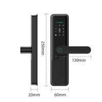 China Wifi Biometric Tuya Smart Door Lock Silver Mechanical Keyless Door Lock for sale