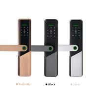 China Wifi Biometric Tuya Smart Door Lock Silver Mechanical Keyless Door Lock for sale