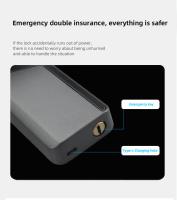 China Wifi Biometric Tuya Smart Door Lock Silver Mechanical Keyless Door Lock for sale
