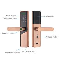 China 6V Wireless Door Lock Intelligent Wifi Deadbolt Door Lock For Home for sale