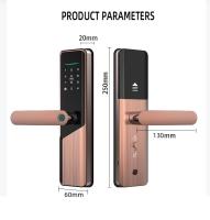 China Wifi Biometric Tuya Smart Door Lock Silver Mechanical Keyless Door Lock for sale