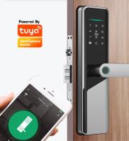 China 6V Wireless Door Lock Intelligent Wifi Deadbolt Door Lock For Home for sale