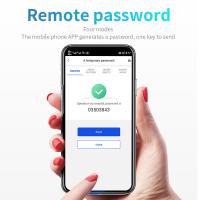 China Square Keyless Entry Door Lock Password ROHS Bluetooth Keypad Lock for sale