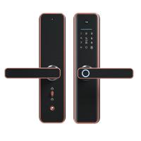 China Compatible Smart Camera Door Lock Antique Copper Outdoor Smart Lock for sale