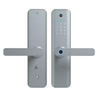 China Compatible Smart Camera Door Lock Antique Copper Outdoor Smart Lock for sale