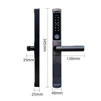China Sliding Electric TTlock Smart Lock Keyless Biometric Door Lock for sale