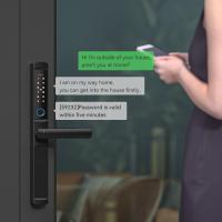 China Sliding Electric TTlock Smart Lock Keyless Biometric Door Lock for sale