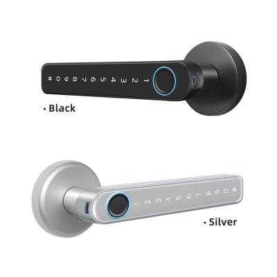 China TTlock Smart Handle Door Lock for sale