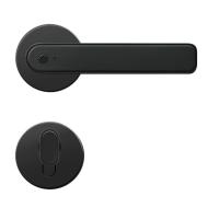 China Wifi TTlock Smart Handle Door Lock Zinc Alloy For Outside Gate for sale