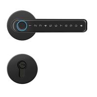 China TUYA Bluetooth Smart Handle Door Lock Anti Corrosion Fingerprint Handle Lock for sale