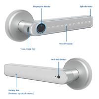 China TUYA Bluetooth Smart Handle Door Lock Anti Corrosion Fingerprint Handle Lock for sale